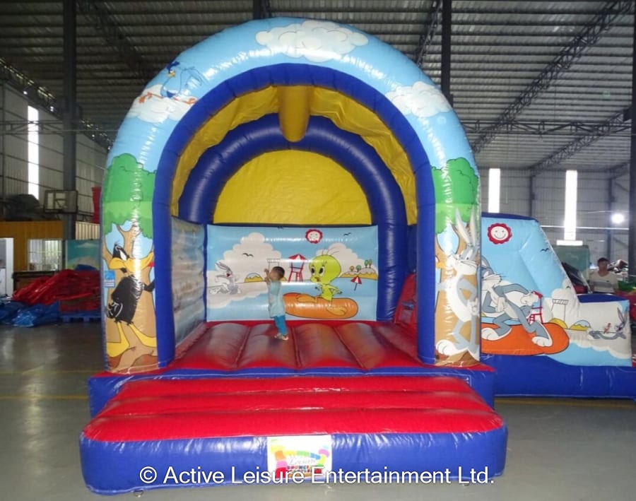 Looney Tunes Slide castle - Bouncy Castle Hire in Cork, Ballincollig ...